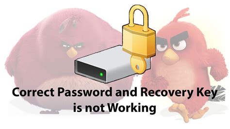 Solved Bitlocker Wont Unlock With Correct Password And Recovery Key After Reinstalling Windows
