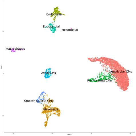 Performance Of Evercode™ Wt In Neonatal Mouse Heart Cells Parse