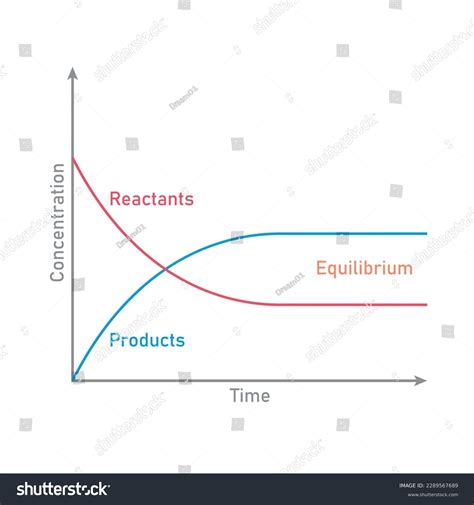 State Chemical Equilibrium Reaction Time Concentration Stock Vector Royalty Free 2289567689