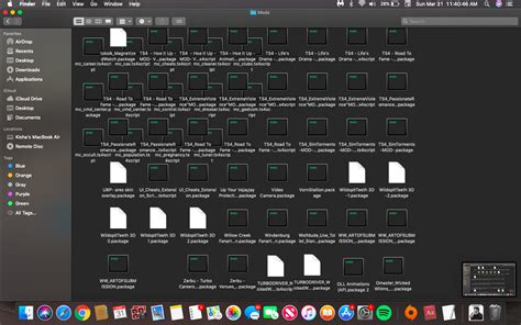WW Animations Still Not Showing Up Technical Support WickedWhims LoversLab