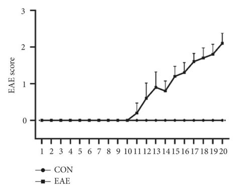 Mir 216b 5p Was Downregulated And Fas Was Upregulated In Eae N 15 Download Scientific