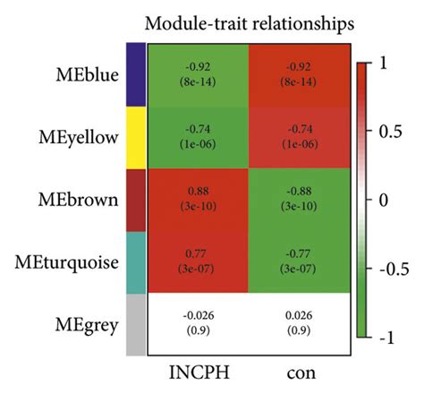 Weighted Gene Coexpression Network Analysis Wgcna A Module Trait