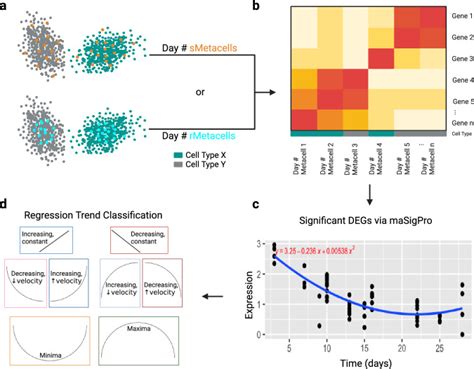 Metacell Based Differential Expression Analysis Identifies Cell Type Specific Temporal Gene