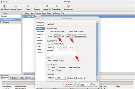How To Use Private Internet Access With Deluge In 2025