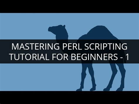 Free Video Perl Scripting Tutorial Videos From Youtube Class Central