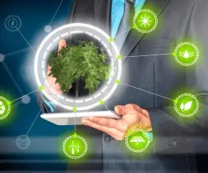 Efficient Frontier Definition Limitations Examples