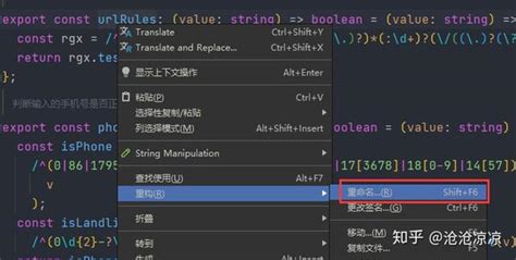 WebStorm各种便利的功能 代码重构 知乎