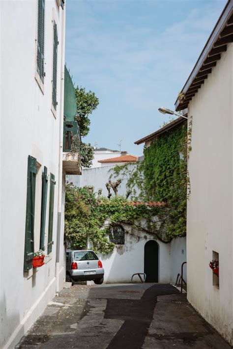 거리 사진 건물 건축 경치 경치가 좋은 고요한 골목 구시가지 그림 같은 기이 한 낮 녹색 셔터 누벨 아키텐 담쟁이덩굴 담쟁이덩굴로 덮인 벽 도로