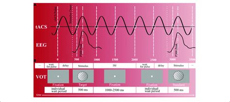 Stimulus Presentation And Timing A Synchronization Between Target