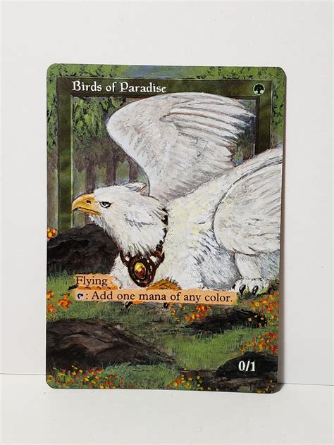 Birds Of Paradise Mtg Altered Art Manipulatedmtg Etsy