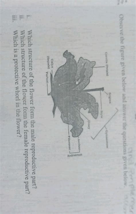 observe the figure given below and answer the questions given below i w