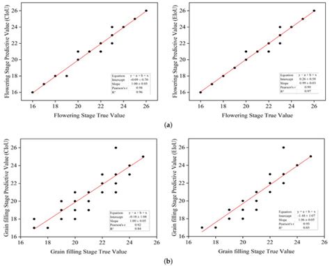 Yolov5s T A Lightweight Small Object Detection Method For Wheat Spikelet Counting