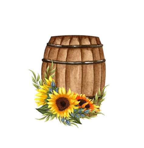 500 Rustic Sunflower Weddings Stock Illustrations Royalty Free Vector
