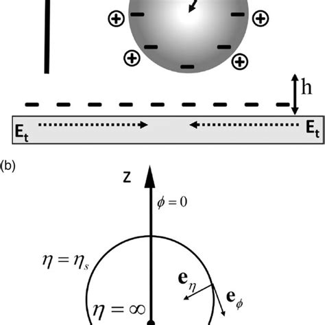 A Schematic Showing The Response Of A Charged Dielectric Sphere Near A