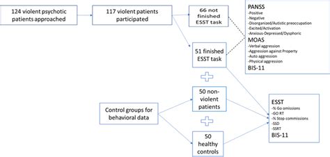 Flow Diagram Of Dataset And Measures Download Scientific Diagram