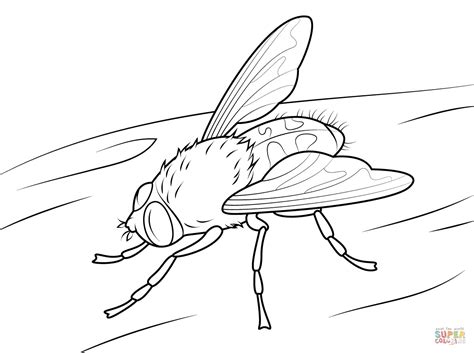 Lightning Bug Coloring Page Coloring Pages