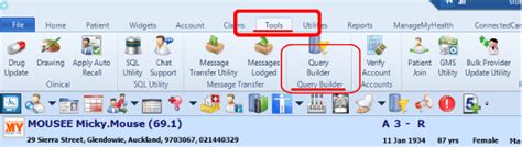 Sending Bulk Text Messages From The Query Builder