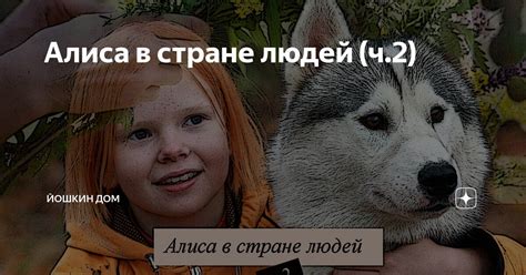 Алиса в стране людей (ч.2) | Йошкин Дом | Дзен