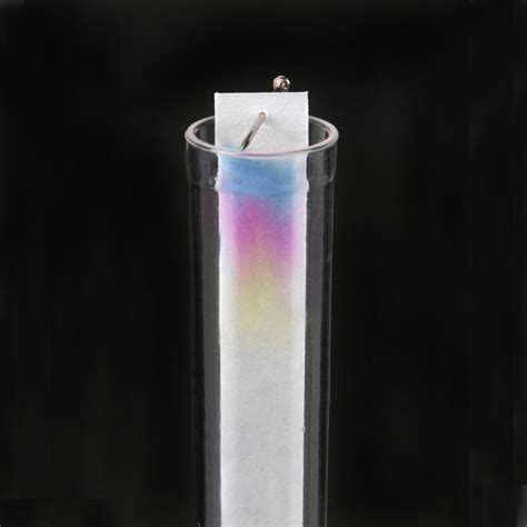 Thin Layer Chromatography Of Amino Acids Southern Biological