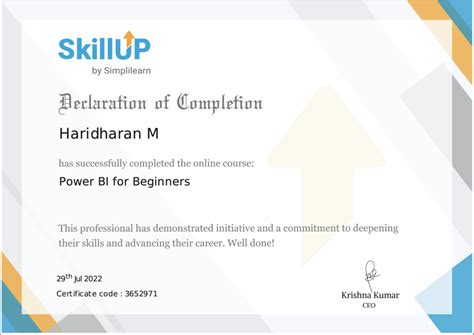 microsoft power bi beginner