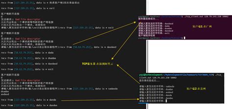 Tcp实现公网服务器和内网客户端一对多访问c语言实现 舟清颺 博客园