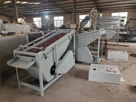 High Capacity Industrial Macadamia Nuts Processing Line For Food Plant