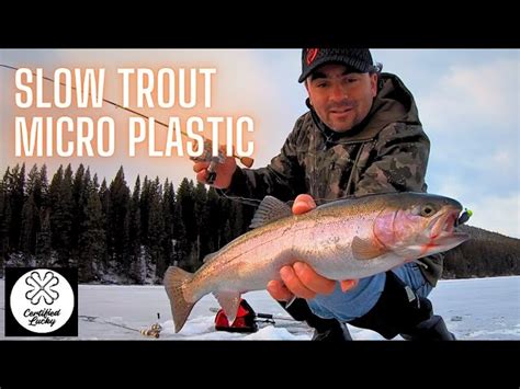 Ice Fishing Rigs For Trout Lake Trout Rod Ice Fishing Forum