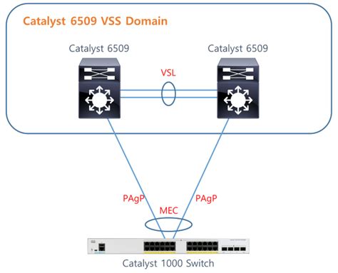 Can Catalyst 1000 Switch Be Connected To Vss Systems Cisco Community