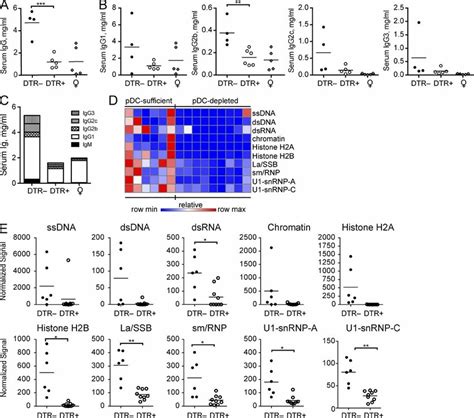 Transient Pdc Depletion Has An Immediate Effect On The Activation And