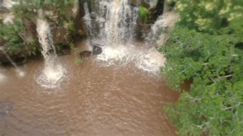 Gallery Lloyd Radebe