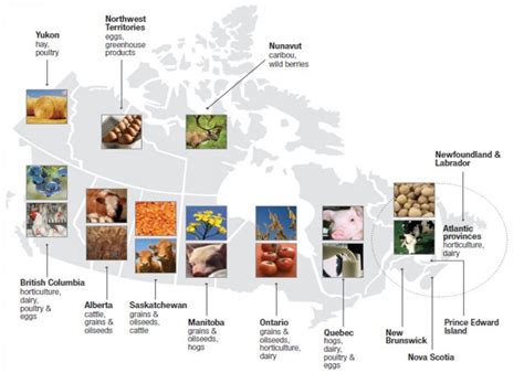 Канадын фермерийн аж ахуйг хуулбарлачихмаар санж Хүнсний хувьсгал