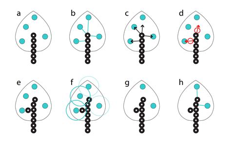 Geometry Nodes How To Connect Points R Blenderhelp