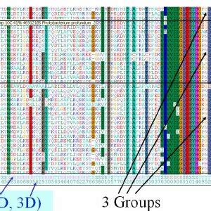 Input Of Data Input Of Alignment Data From Three Phenotypic Groups In Download Scientific