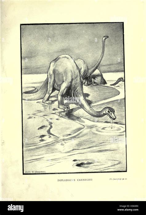 A Visual Representation Of Past Evolutionary Processes Showing Key Stages Of Evolution As