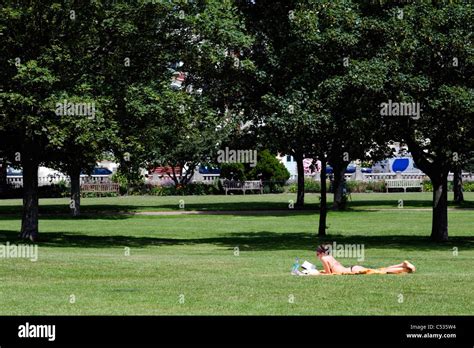 Frau Lesen Und Sonnenbaden Fotos Und Bildmaterial In Hoher Auflösung