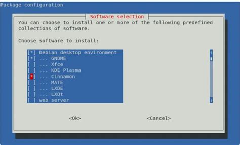 Install Cinnamon Desktop Environment On Debian 10 Buster ComputingForGeeks