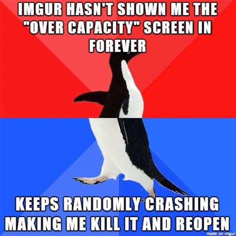 A Whole New Level Of Bug Meme On Imgur