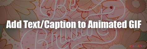 Detailed Guide How To Add Textsubtitles To  Animation