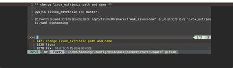 LeaderF 拓展插件 回调函数问题 Issue Yggdroot LeaderF GitHub