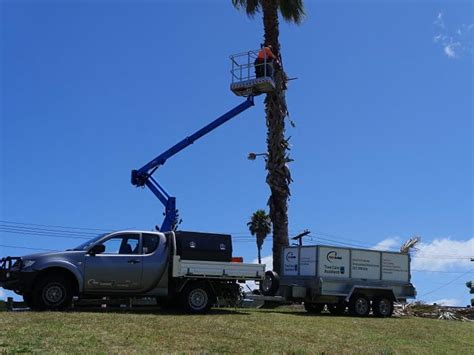 Professional Tree Pruning Services In Auckland Pro Climb