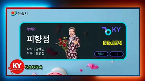 피향정 양세민 Ky 금영 53654 태진 87240 작사 양세민 작곡 최명철 편곡 최명철 Youtube