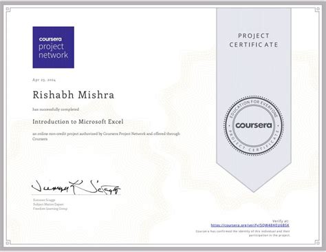 excel dataanalysis coursera rishabh mishra