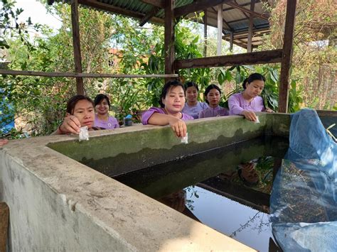 ငဖဲမြို့နယ်တွင် သွေးလွန်တုပ်ကွေးရောဂါ ကြိုတင်ကာကွယ်ရေးအတွက် ဖုံး၊ သွန်၊ လဲ၊ စစ် လုပ်ငန်းများနှင့