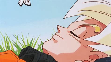 Anime  Calm Dbz  Pfp Discord Pfp Animated Goku 
