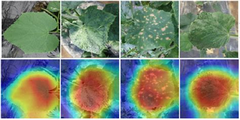 Leaf Disease Diagnosis Using Generating Synthetic Datasets