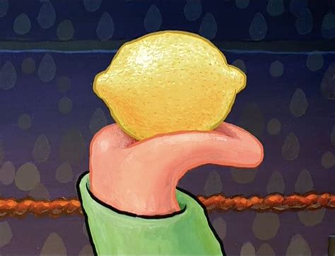 Discover 900 Spongebob Close Ups And Spongebob Ideas Spongebob Funny