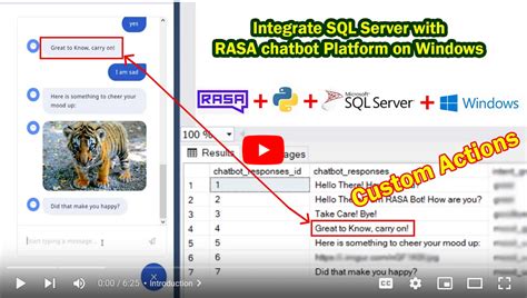 rasa sql custom actions integration on windows