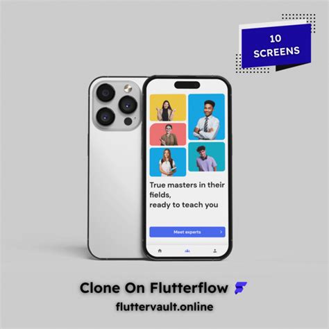 flutter vault
