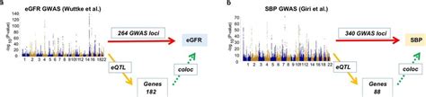 Experimental Scheme A We Used Bayesian Colocalization Which Combined Download Scientific