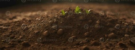 Soil AI Generated Stock Photo At Vecteezy